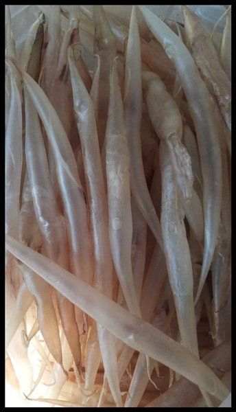 PERUT IKAN MALONG ISI 250 PCS PERKILO Makanan Seafood GRADE KECIL ...