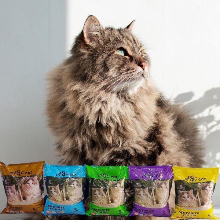 【COD】 ABC CAT LITTER BENTONITE SAND 5L | Lazada PH