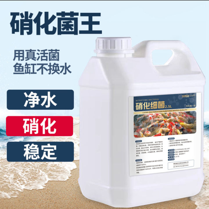 Koi fish Fish Pond Nitrifying Bacteria Fish Tank Digestive Bacteria ...