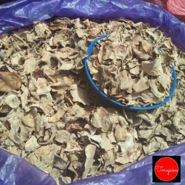 Kulit Pangi / Kepayang / Picung Toraja 500 Gram / 0,5 Kg/ Setengah Kg ...