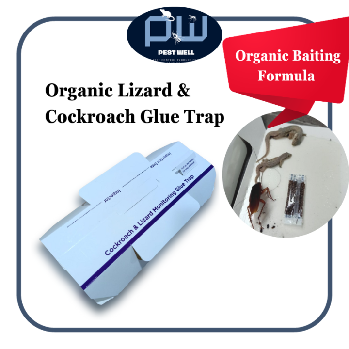 Organic Lizard & Cockroach Glue Trap/ Efficient & Safe & Hygiene ...