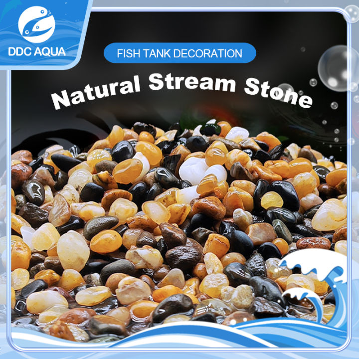 【DDC AQUA】Aquarium Assorted Mindoro Pebbles River Stone | Lazada PH 【DDC AQUA】Aquarium Assorted Mindoro Pebbles River Stone | Lazada PH