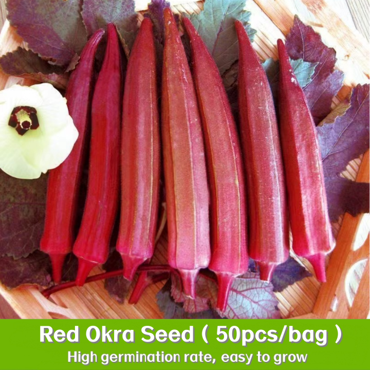 (50seeds/pack) Red Okra Seeds /Vegetable Seeds | Lazada PH