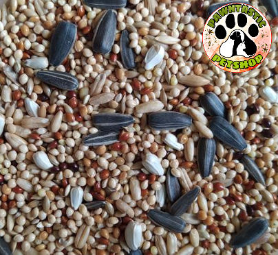 Bird Seed Mix [African Mix] [500g] | Lazada PH