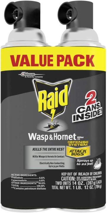 Raid Max Foaming Wasp & Hornet Killer, 13 OZ (Pack - 1) | Lazada PH
