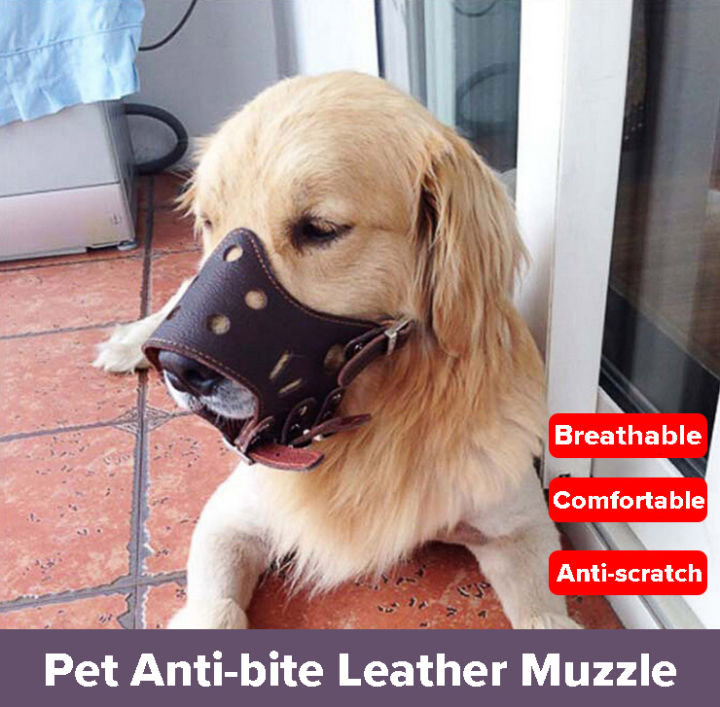 DY Loving Pet Bite Proof Mouth Cover สุนัขขนาดใหญ่ Muzzles Golden ...