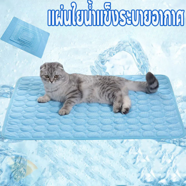 【Dargly】ที่นอนสัตว์เลี้ยง ที่นอนเย็น ผ่นเย็นแมว แผ่นเย็นหมา ท แผ่นลเย็น Pet Cool mat ฤดูร้อน ...