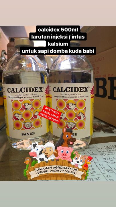 calcidex 500ml injeksi infus kalsium untuk sapi perah domba kambing ...