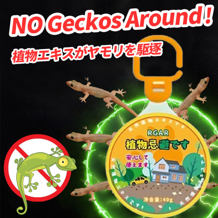 No geckos throughout the year lizard repellent lizard killer lizard ...