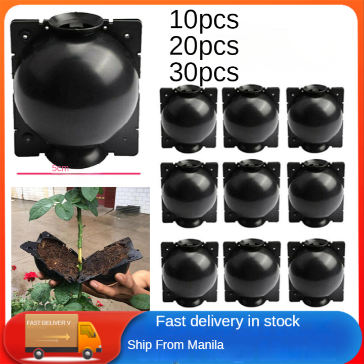 10/20/30pcs 5cm Black Fruit Plant Tree Rooting Ball Root Box Plastic ...