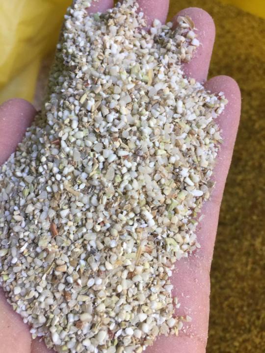 15kg Beras Temukut / Beras Hancur / Makanan Ternakan Ayam Burung Angsa ...