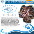 Dried Pusit Ballpen Pusit 100g/200g/500g/1kg / Chewy Squid / Sun-dried ...