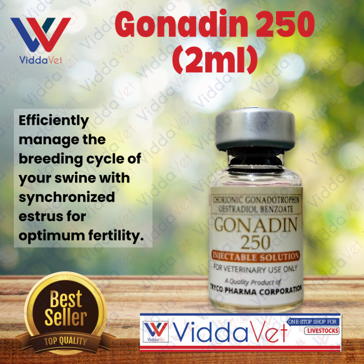 Viddavet Gonadin 250 (2ml) for pigs Premium Gonadin Injection for ...