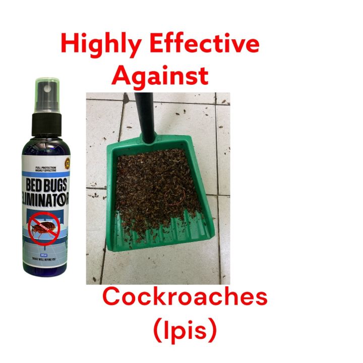 BED BUGS SUROT KILLER DUST MITES REMOVER COLORLESS ODORLESS MABISANG ...