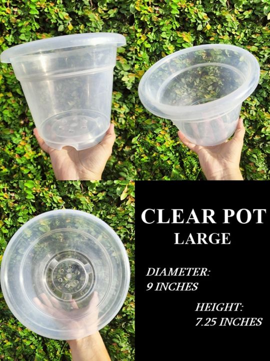 High Quality Clear/Transparent Plastic Pot - Ready to Use for ...