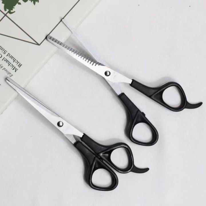 2 In 1 Stainless Steel Barber Hair Cutting & Thinning Scissor Shears ...