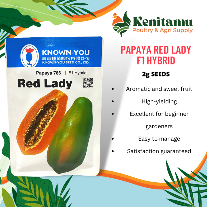 PAPAYA RED LADY F1 HYBRID 2g SEEDS BY: KNOWN-YOU SEEDS | Lazada PH