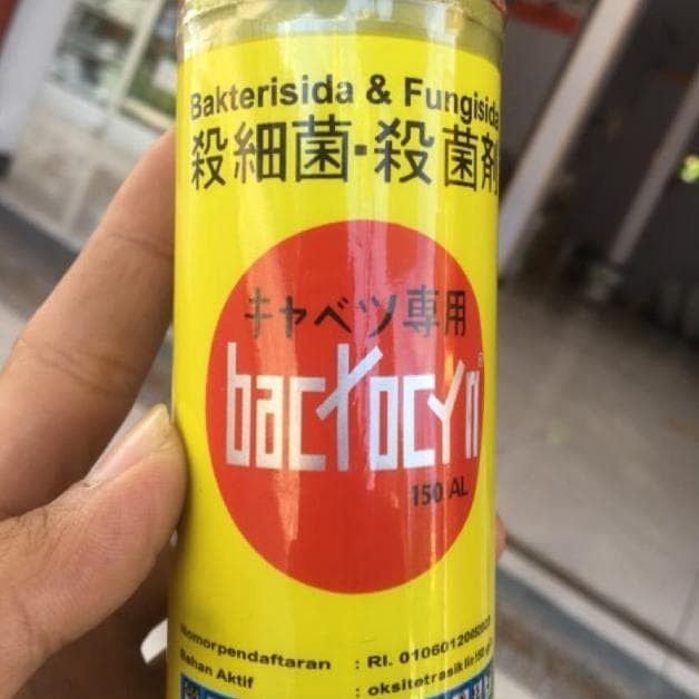 Bakterisida dan Fungisida bactocyn 200 ml | Lazada Indonesia