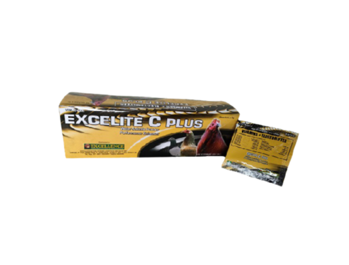 Excelite C Plus | Vitamins + Electrolytes | Lazada PH