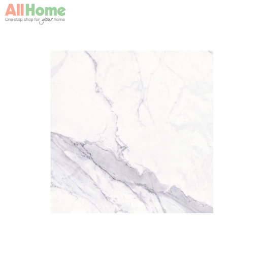 PRIMO FWJ 30X30 3J116 LUXOR FLR (For Wall) | Lazada PH