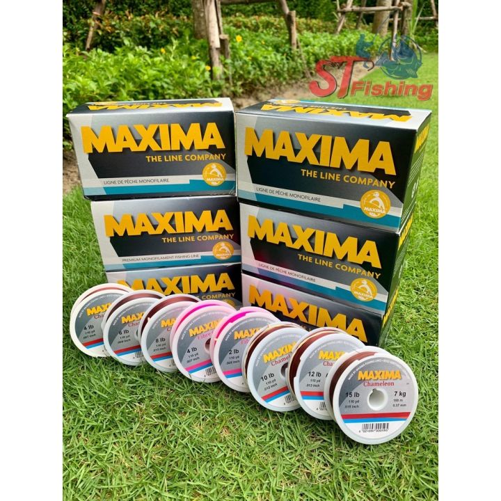 สายเอ็น Maxima The Line Company รุ่น Chameleon | Lazada.co.th