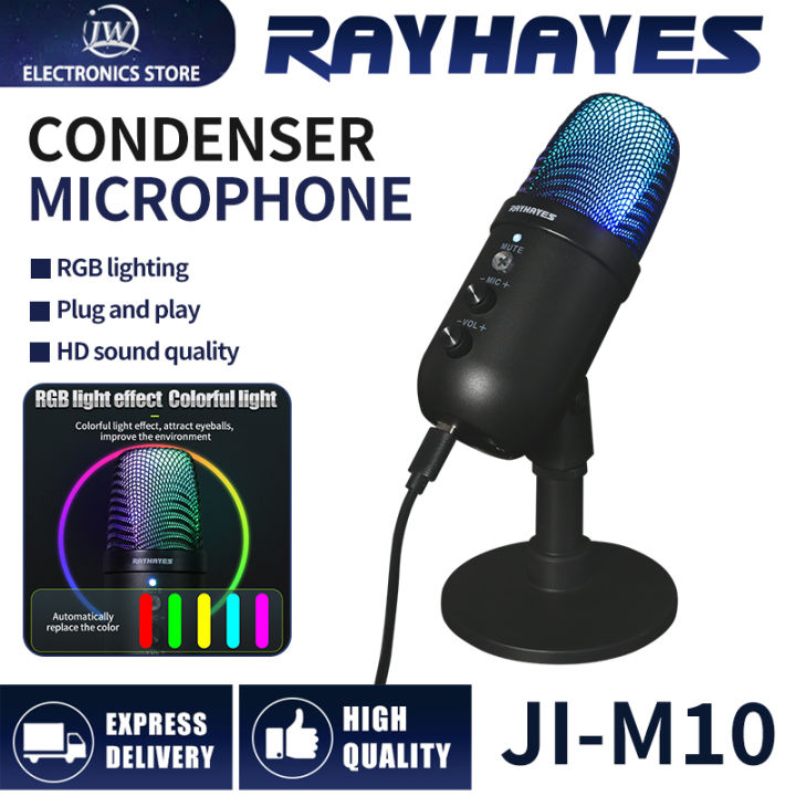 RAYHAYES USB Microphone Professional Recording Dubbing Condenser ...