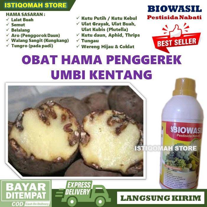 Obat Hama Penggerek Umbi Kentang Paling Ampuh BIOWASIL 500ML Pestisida ...