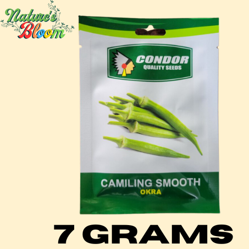 CAMILING SMOOTH OKRA SEEDS (7 GRAMS OR 130 SEEDS) CONDOR | Lazada PH