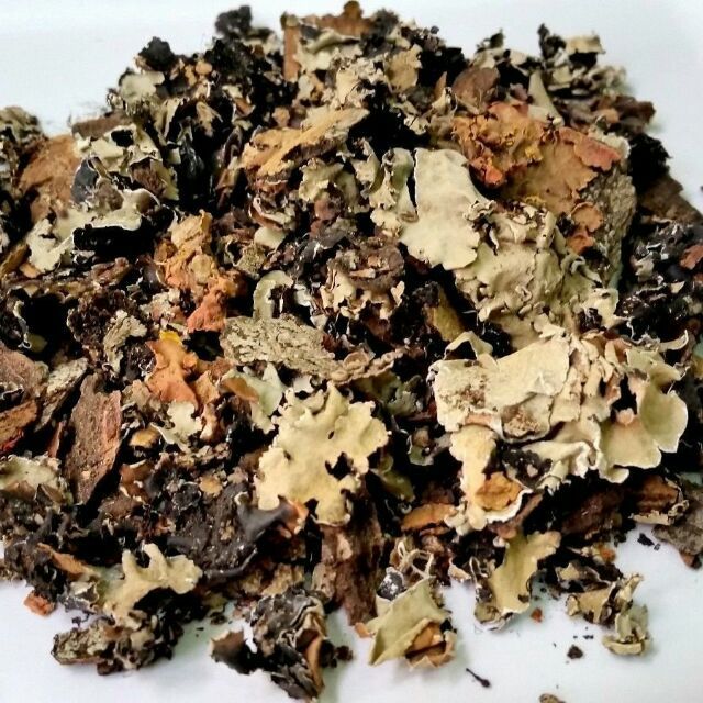 Black Stone Flower (Kalpasi, Rock Flower) - Aromatic Spices | Lazada