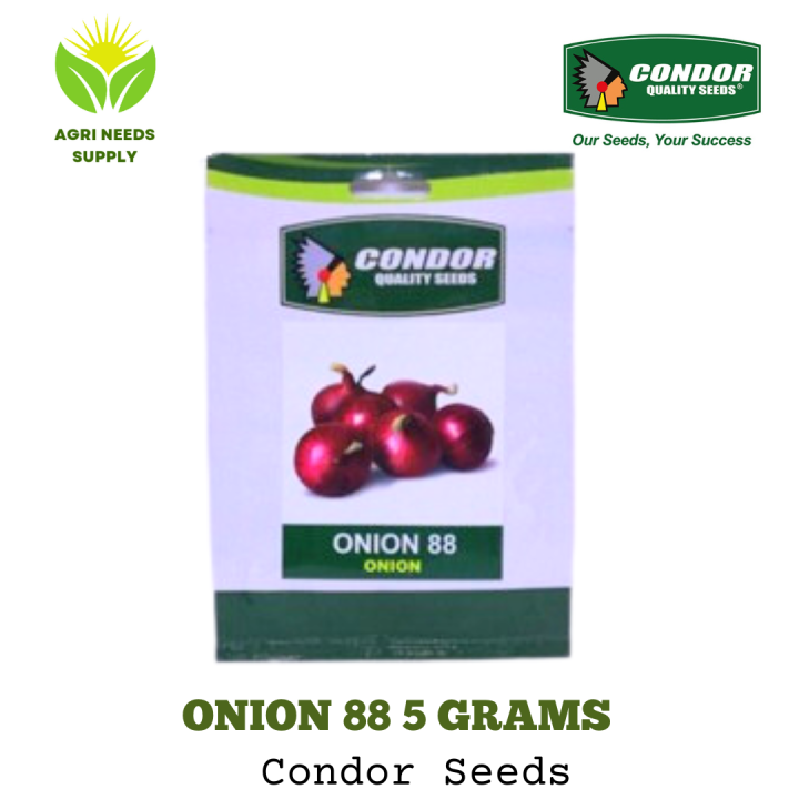 Onion 88 ''Onion'' / Condor Sachet ( 5gms ) | Lazada PH