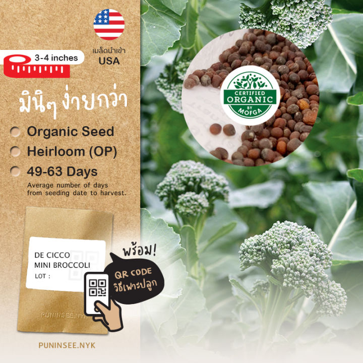 ซื้อ 1 แถม 1，50 เมล็ด (ไม่ใช่พืช)เมล็ดนำเข้า เบบี้ มินิบล็อคโคลี Mini Broccoli (Organic Seed ...
