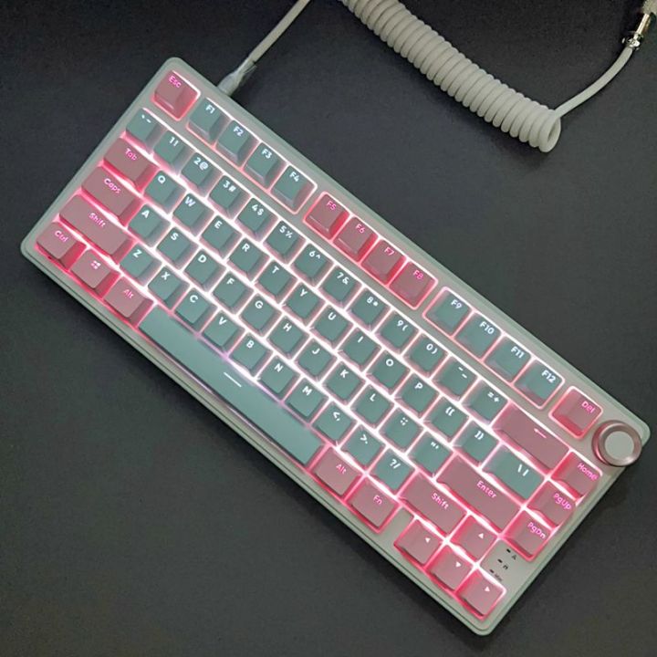 【Keycap Only】PBT Double Shot Miami Keycap Shine Through 117 Keys OEM ...