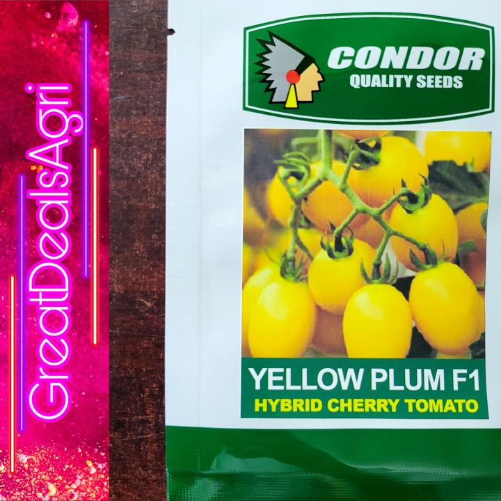 YELLOW PLUM F1 HYBIRD CHERRY TOMATO SEEDS (0.2 GRAMS) CONDOR SEEDS ...