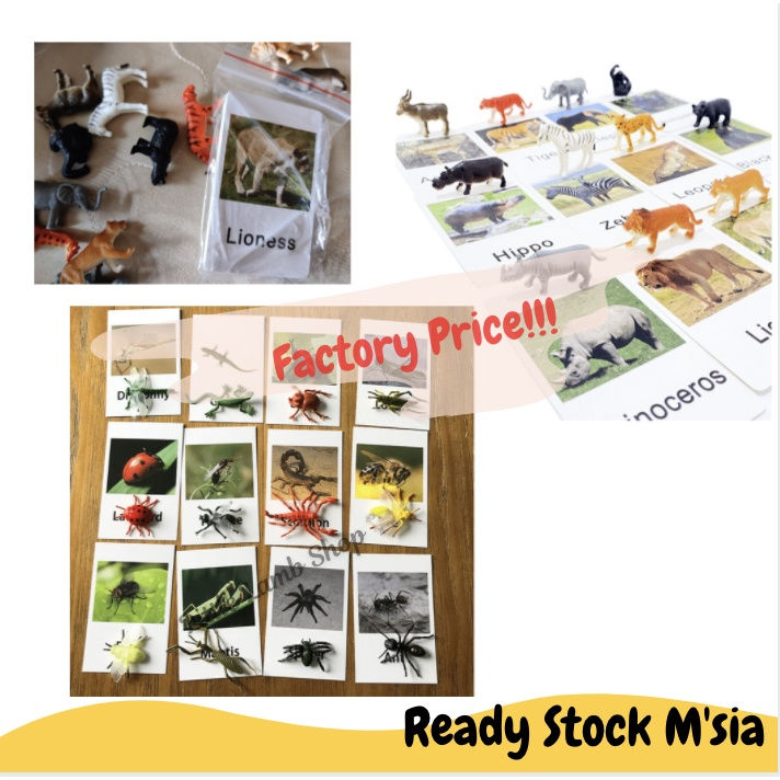Montessori Animal Insect Model Card Matching/ Early Educational Toy ...
