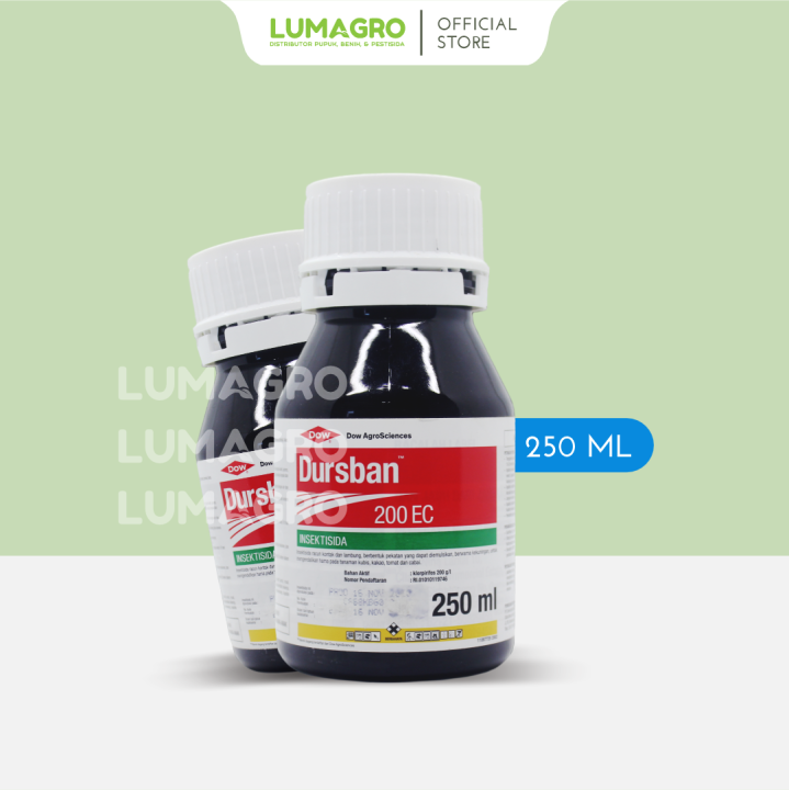 Insektisida Dursban 200EC 250ml Klorpirifos Obat Pengendali Hama Ulat ...
