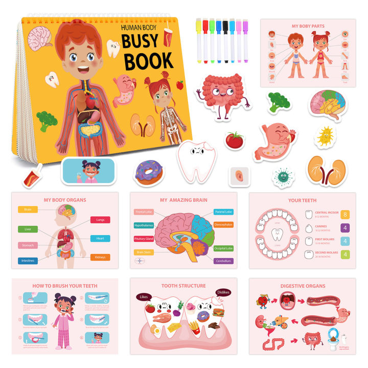 Early Teaching Book Communication Skills Development Interactive Human ...