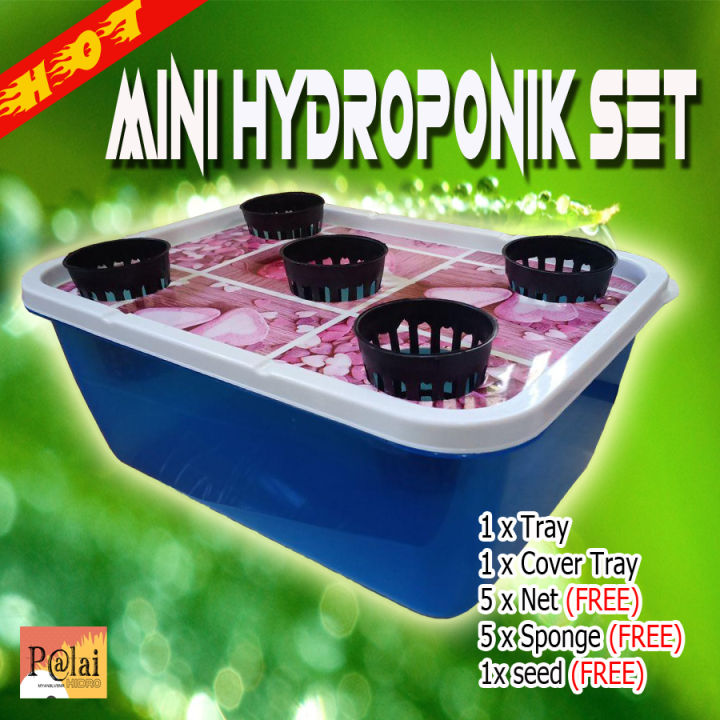 MINI HIDROPONIK /MINI HYDROPONIC SET | Lazada