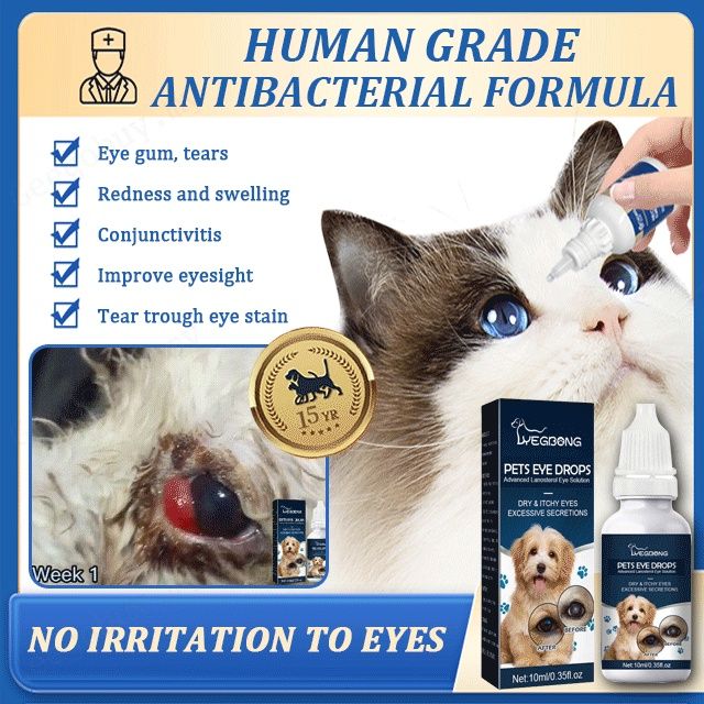 Itchy Eye for Dogs and Cats Gentle Cleansing Noodles Eye Drops Pet Eye ...