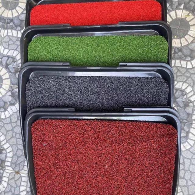 Disinfecting Foot Mat with Tray | Lazada PH