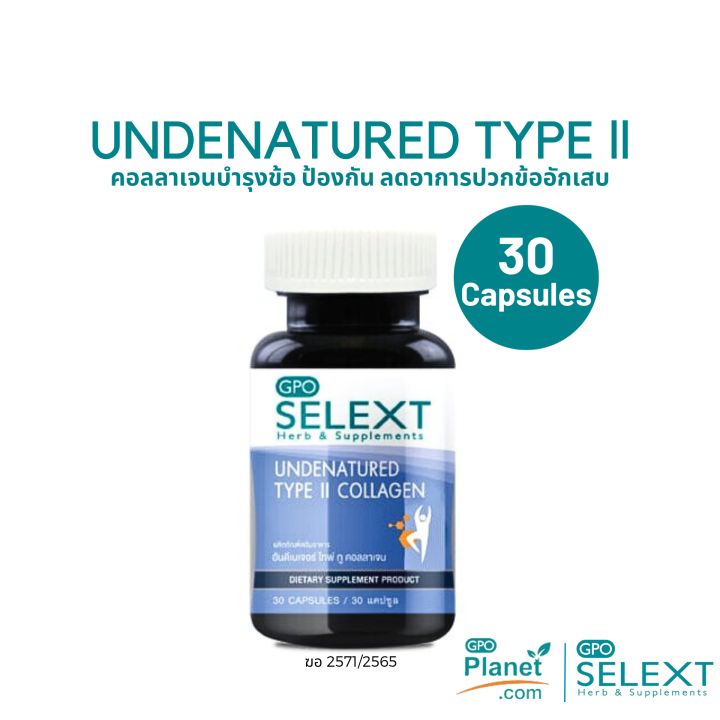 GPO SELEXT UNDENATURED TYPE ll COLLAGEN อันดีเนเจอร์ ไทพ์ ทู คอลลาเจน 40 มก น้ำมันจมูกข้าว 200 ...
