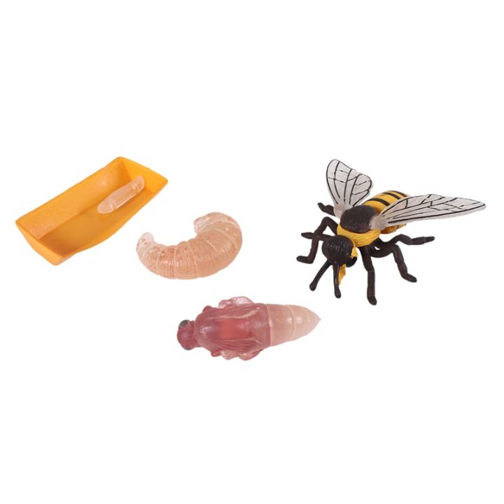 Pack of 4 Insect Figurines Life Cycle of Realistic Insects Figures Toys ...