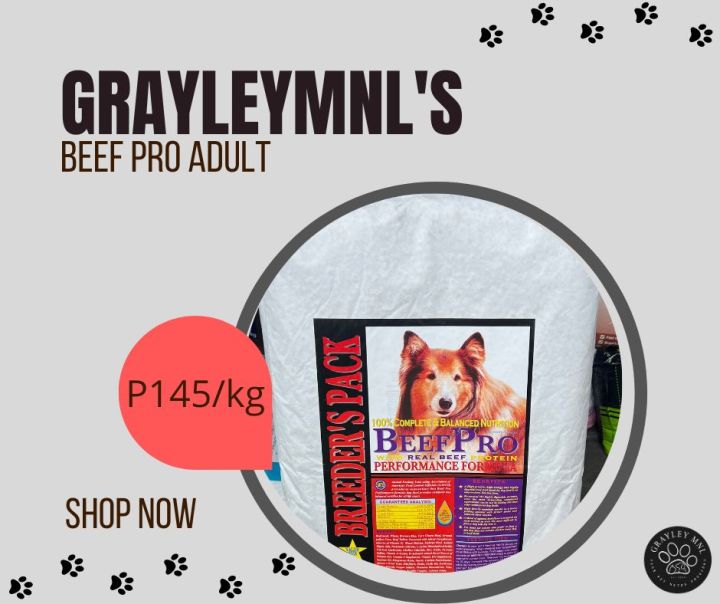 Beef Pro Adult - 1KG repacked | Lazada PH