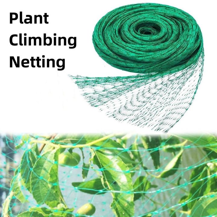 Climbing Plant Support Nets Nylon Netting Vines Grow Fence Plant ...