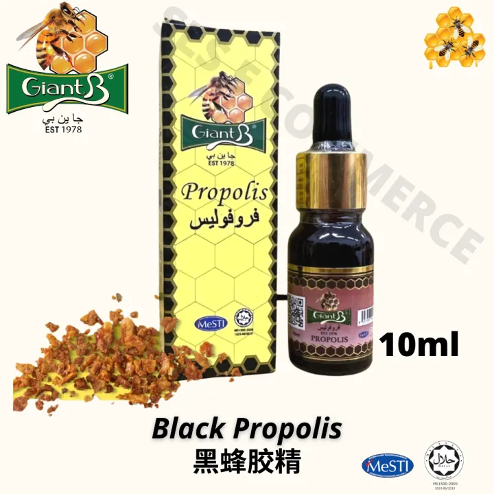 Giant B Propolis Liquid Drop No Alcohol 黑蜂胶精 无酒精 10ml | Lazada
