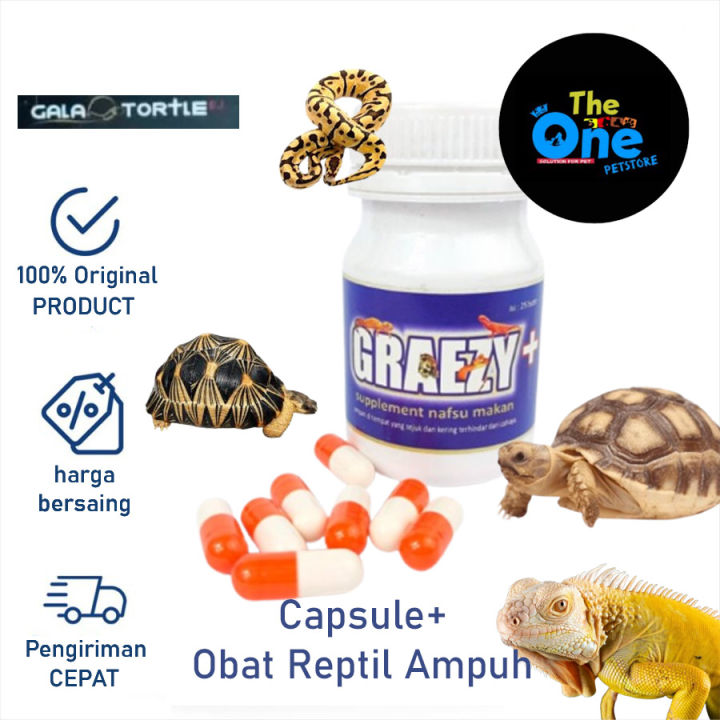 Graezy Plus Capsule - Vitamin Kura Kura dan Reptil per Capsule | Lazada ...