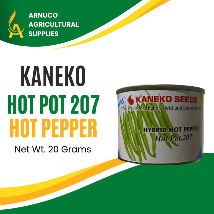 Hotpot 207 Hot Pepper Seeds / Siling Panigang / Siling Haba (Kaneko) 20 ...