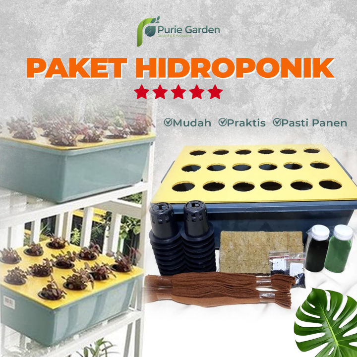 Paket Hidroponik Lengkap Pemula Berkebun Wick System PG BGR | Lazada Indonesia