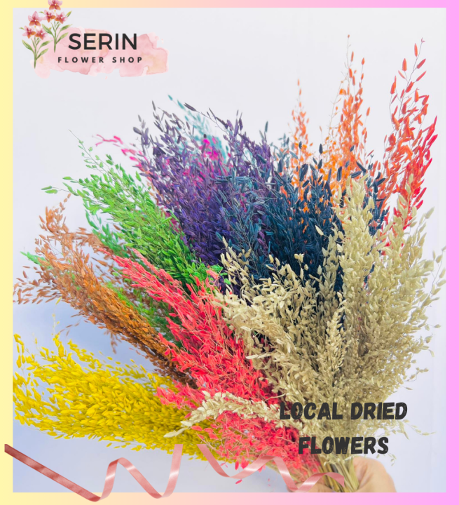Grass Misty / dried flowers/ local dried flowers/ boho wedding/ home ...
