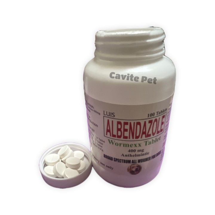 WORMEXX ALBENDAZOLE ×1 TABLET WORMER FOR DOG Dewormer Pyrantel | Lazada PH