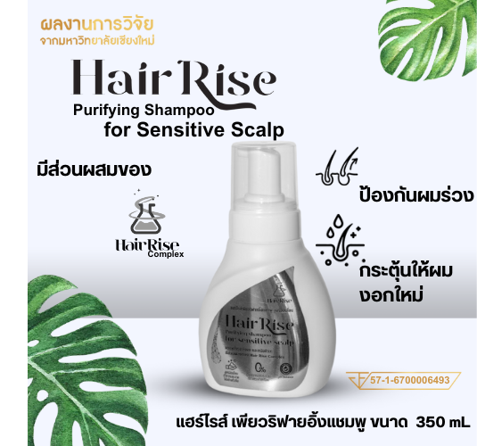 แชมพูโฟม HAIR RISE PURIFYING SHAMPOO FOR SENSITIVE SCALP แฮร์ไรส์ เพ ...